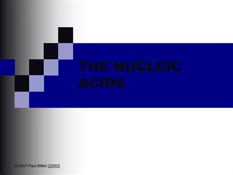 The Nucleic Acids Pptx