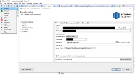 ad hoc query dbeaver careevolution bulk data api