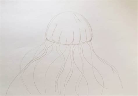 How To Draw A Jellyfish With Moving Tentacles Basicdraw Com