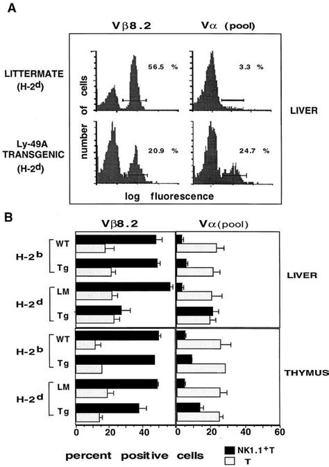 altered tcr repertoire selection in nk1 1 t cells from h 2d ly 49a