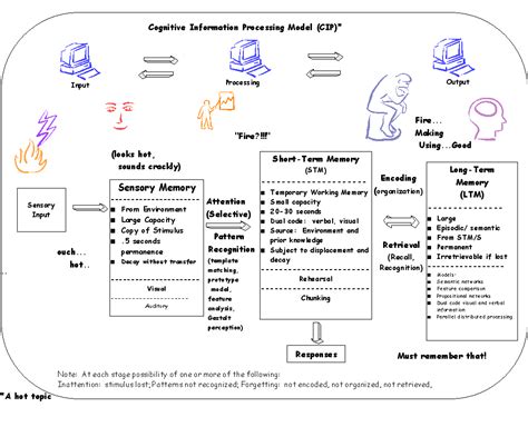 Explore C Thinking Cognitive Information Processing Model