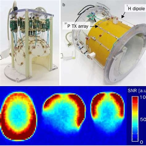 Renderings Of Typical Single Element Left And Array Coil Right