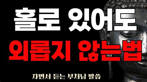 홀로 있어도 외롭지 않게 사는 법 진정한 자립의 힘 독하게 살아라 어차피 인생은 혼자다 고독하라 자면서 듣는 부처님