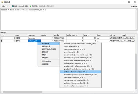 Ezdml特色功能 Ezdml 数据建模