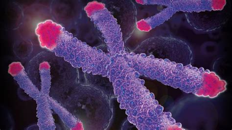 The Human Cst Complex Is A Terminator Of Telomerase Activity Epfl