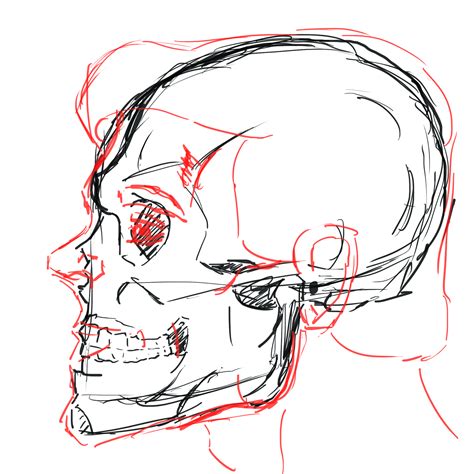Sideways Face Drawing Free Download On Clipartmag