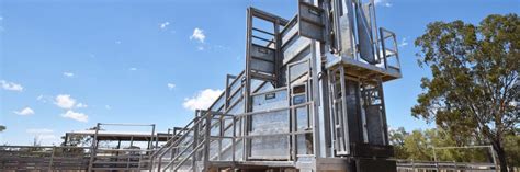 Cattle Loading Ramps Cattle Handling Facilities ProWay