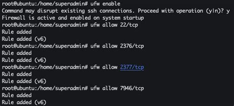 My Homelab Docker Setup HoldMyBeer