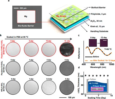 Accelerated Soak Tests And Comparisons Among Different Encapsulation Download Scientific