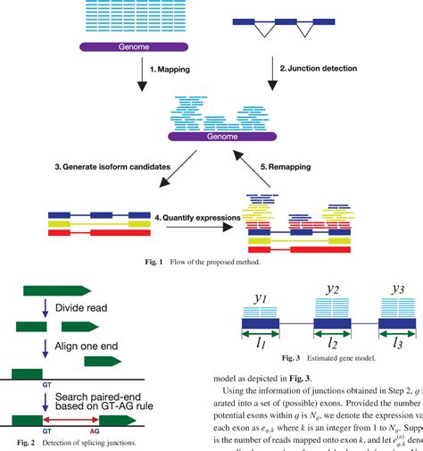 figure 1 from a method for isoform prediction from rna seq data by