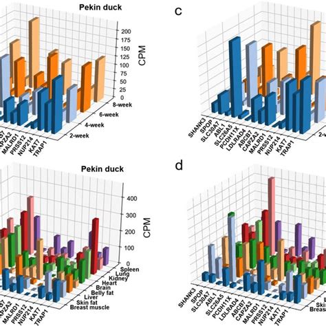 the expression level of candidate protein coding genes related to