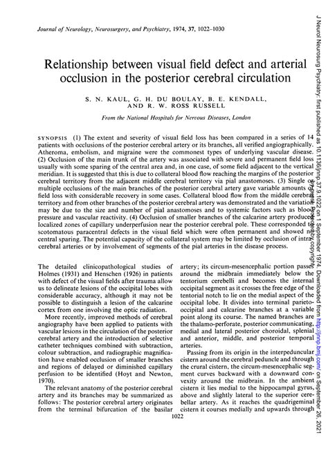 Relationship Between Visual Field Defect And Arterial Occlusion In The