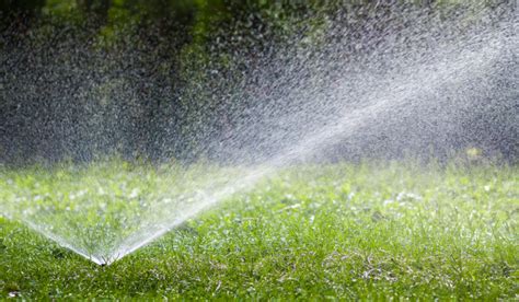 How Long To Water Plants With Sprinkler Crate And Basket