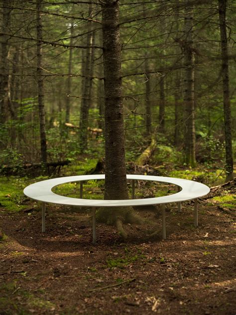Thom Fougere Creates Collection Of Ring Shaped Benches For Forest Floor