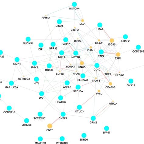Novel Epistasis Detection Workflow Snps Are Mapped To Respective Genes