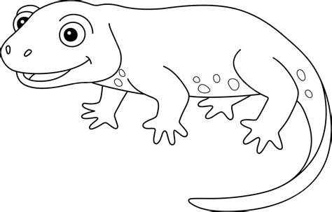 Anfibios Colorear Vertebrados Colorea Biopedia Rana Sketch Coloring Page
