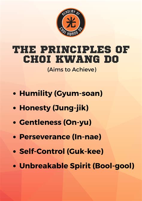 Digital Dojo The Academy Of Ckd Martial Arts Townsville