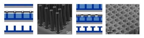 Biomaterial Microsystems