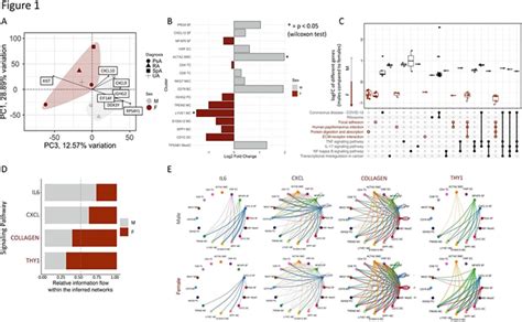 Pos1011 Different Synovial Macrophage And Fibroblast Subsets Expression Profiles And Cell Cell Pos1011 Different Synovial Macrophage And Fibroblast Subsets Expression Profiles And Cell Cell