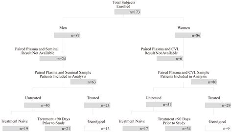 Flowchart Of Enrolled Subjects And Available Samples By Sex White