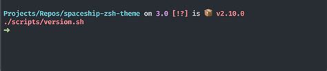 package scripts version is shown as package version · issue 221