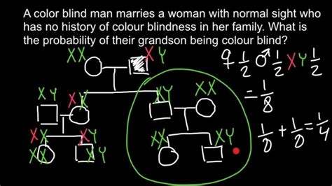 How To Solve Probability Problems In Genetics 3 Nikolays Genetics