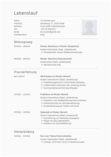 Lebenslauf Design Software Lebenslauf Muster Für Programmierer Lebenslauf