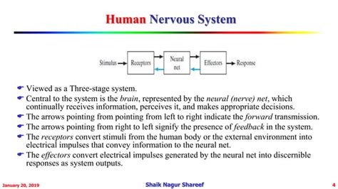 perceptron and neural networks pptx