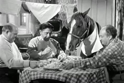 Horsing Around Three Stooges Pictures