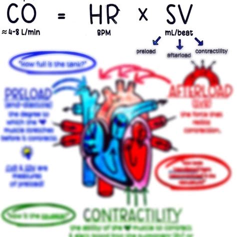 Cardiac Output Etsy