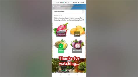 Tropical Thailand Hich Quiz All Questionanswer Youtube