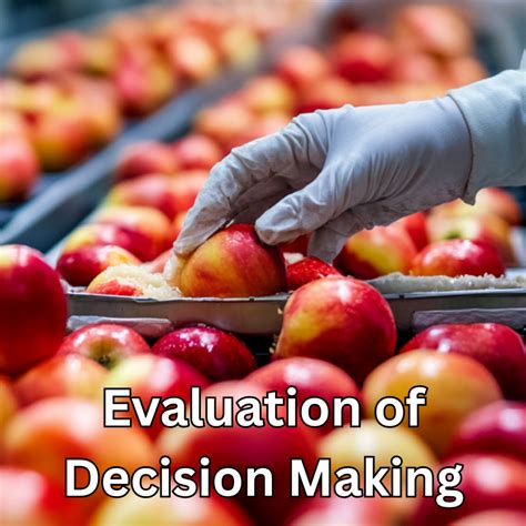 Day 240 Evaluation Of Decision Making The 365 Commitment