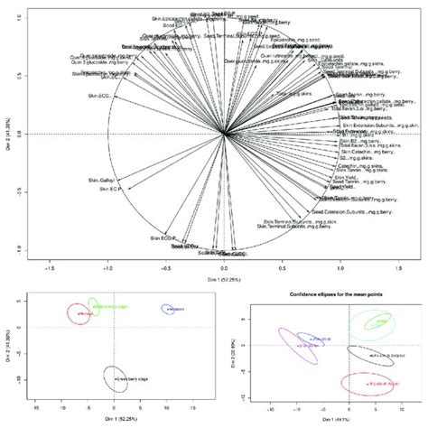 Pca Loading And Scores Plots Of The Anthocyanins Throughout Both Download Scientific Diagram