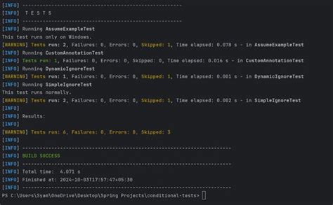 Junit 4 Conditional Test Execution And Ignoring Strategies