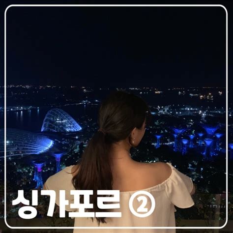 [여행] 싱가포르 4박6일 자유여행 일정공유 네이버 블로그