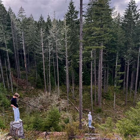 Oregon Lambda Chi Alpha Uolambdachi • Instagram Photos And Videos