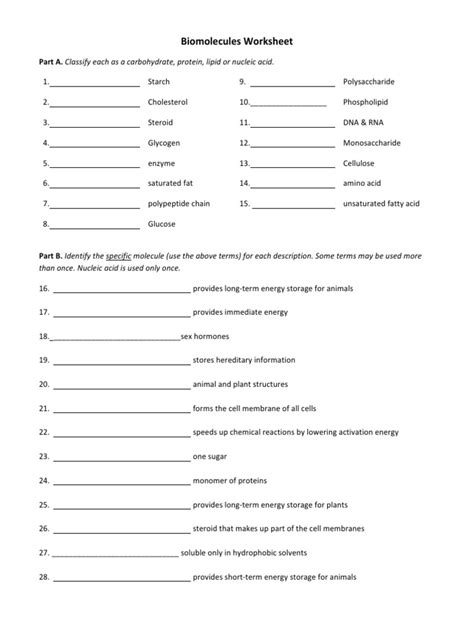 Biomolecules Worksheet Pdf Biomolecules Polysaccharide
