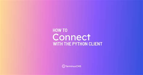 How To Connect With The Python Client