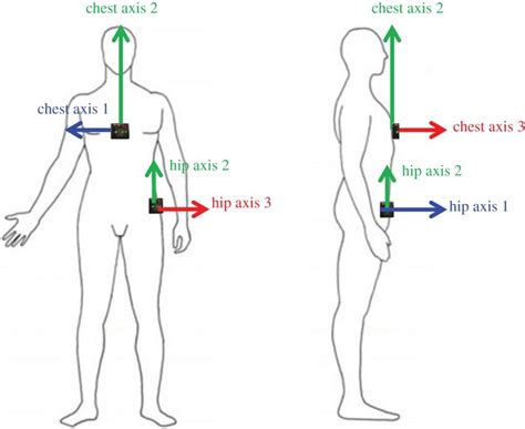 the accelerometer axes the three axes along which accelerations are