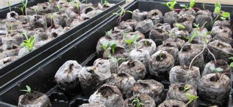 hackaday prize entry open source hydroponic monitoring system hackaday