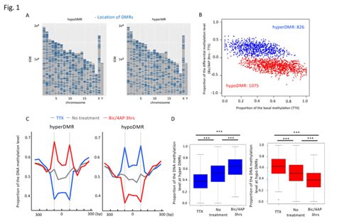 Dynamics Of Neuronal Activity Dependent Dna Methylation A Plot Of Download Scientific