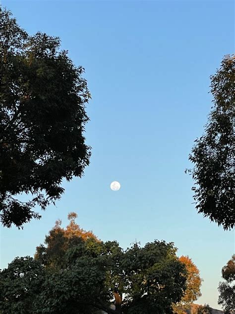The Moon During The Day Artofit