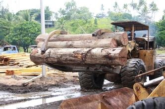Tropical Timber Array Buy In Oroquieta City