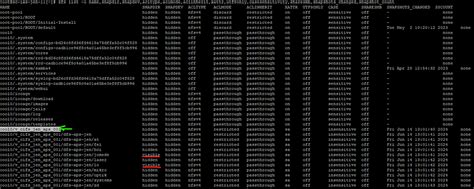 No Previous Versions Since Zfs Was Accessedvisible Truenas