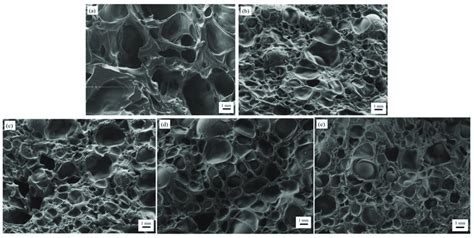 Sem Micrographs Of All Samples A Cs Gel Control Sample B