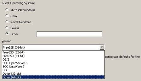 Creating A VMware VSphere Guest OS What S New