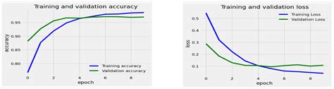 A Robust Efficientnetv2 S Classifier For Predicting Acute Lymphoblastic