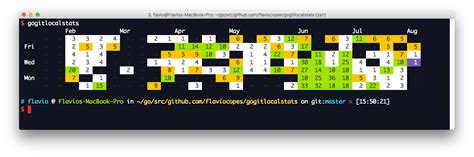 Visualize Your Local Git Contributions With Go