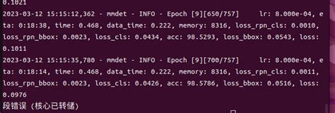 Three Errors，runtimeerror：dataloader Workerpid11376 Is Killed By