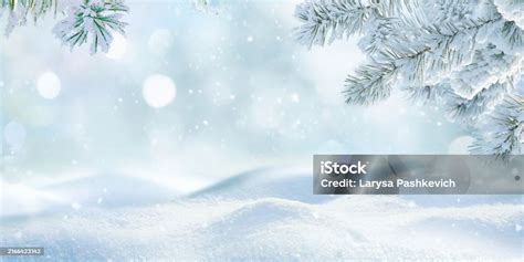 클로즈업된 눈 더미와 눈으로 덮인 가문비나무 가지가 있는 원본 배경 이미지 배경 주제에 대한 스톡 사진 및 기타 이미지 배경 주제 크리스마스 0명 Istock